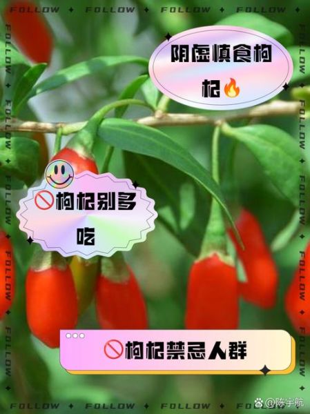 吃枸杞有什么好处_枸杞的副作用有哪些-第3张图片-山城妙识