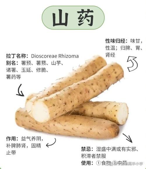 山药煮多久几分钟能熟_山药怎么判断熟了没-第1张图片-山城妙识