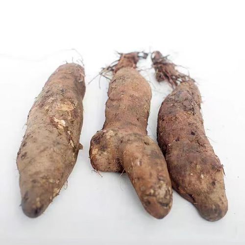 金秤砣山药的营养价值_孕妇能吃吗-第2张图片-山城妙识