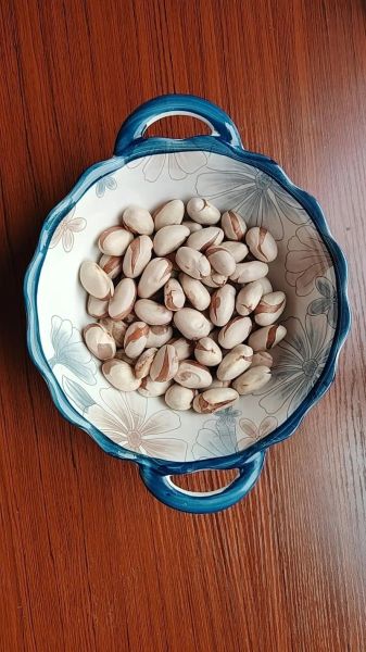 菠萝蜜核怎么煮好吃_菠萝蜜核煮多久才软糯-第3张图片-山城妙识