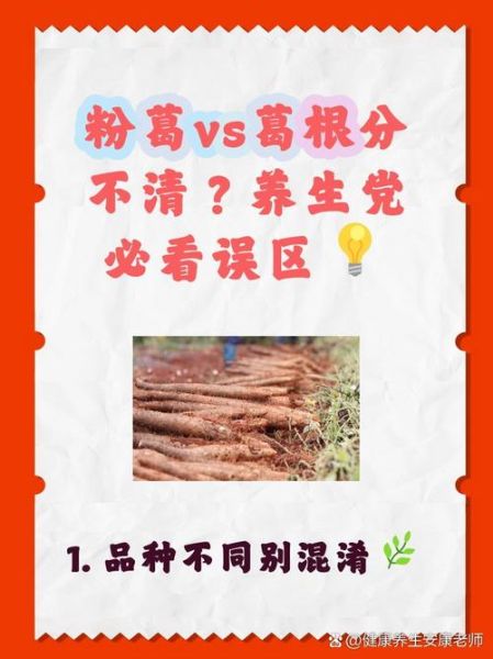 生葛根和熟葛根的区别_哪个更适合日常养生-第1张图片-山城妙识
