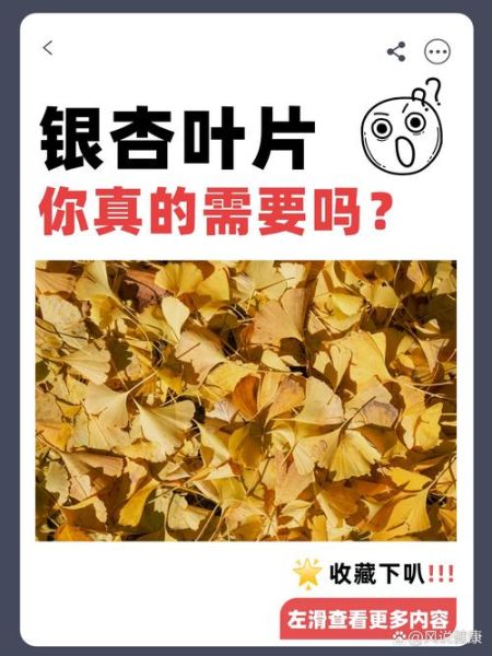 银杏叶提取物能长期吃吗_银杏的副作用有哪些-第3张图片-山城妙识 银杏叶提取物能长期吃吗_银杏的副作用有哪些-第3张图片-山城妙识