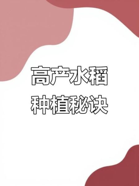 水稻种植技术_如何提高产量-第1张图片-山城妙识