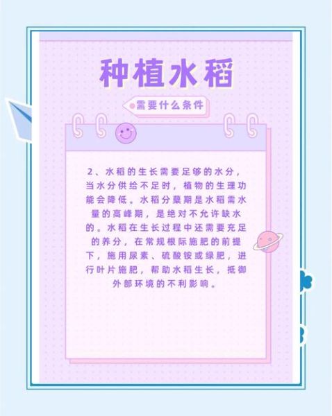 水稻种植技术_如何提高产量-第3张图片-山城妙识