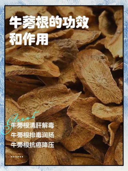 牛蒡叶的功效与作用_牛蒡叶怎么吃效果最好-第2张图片-山城妙识