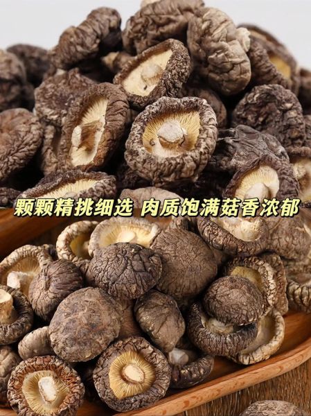 香菇图片大全高清图片_如何挑选优质香菇-第2张图片-山城妙识