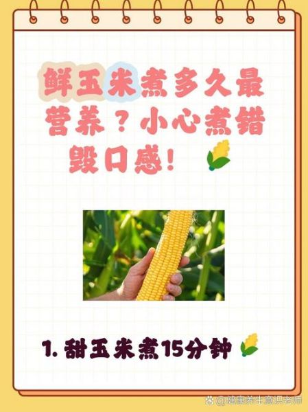 玉米煮多久才算熟_甜玉米煮多久才软糯-第1张图片-山城妙识