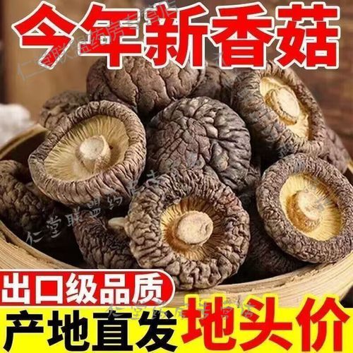 口蘑多少钱一斤_口蘑价格为什么波动大-第3张图片-山城妙识 口蘑多少钱一斤_口蘑价格为什么波动大-第3张图片-山城妙识
