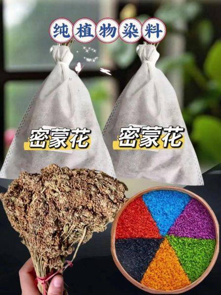 五色糯米饭用什么植物染色_如何自制天然染料-第1张图片-山城妙识