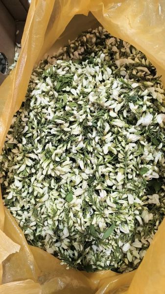 干槐花怎么保存不变色_干槐花的做法大全窍门-第2张图片-山城妙识 干槐花怎么保存不变色_干槐花的做法大全窍门-第2张图片-山城妙识