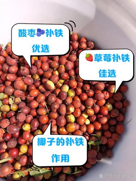 补铁补血的水果有哪些_吃什么水果补血最快-第3张图片-山城妙识 补铁补血的水果有哪些_吃什么水果补血最快-第3张图片-山城妙识