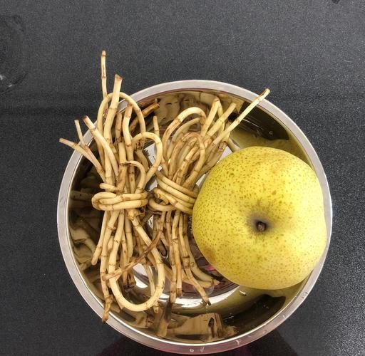 鱼腥草怎么煮才止咳_鱼腥草止咳的正确做法-第1张图片-山城妙识 鱼腥草怎么煮才止咳_鱼腥草止咳的正确做法-第1张图片-山城妙识