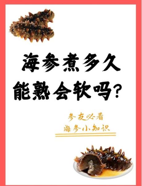 鲜海参煮多长时间能熟_鲜海参怎么煮不缩水-第1张图片-山城妙识