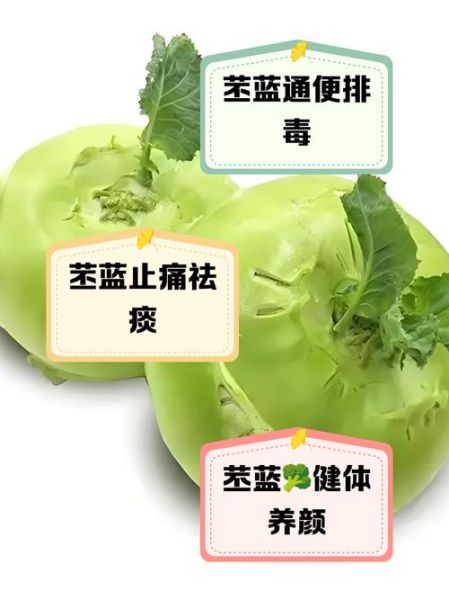 苤蓝怎么做好吃_苤蓝的营养价值有哪些-第2张图片-山城妙识