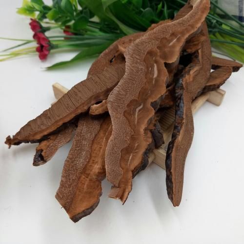 灵芝片怎么吃_灵芝片一天吃多少合适-第3张图片-山城妙识