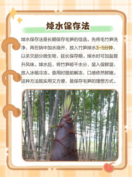 新鲜毛竹笋怎么处理_毛竹笋去涩味最快方法-第2张图片-山城妙识