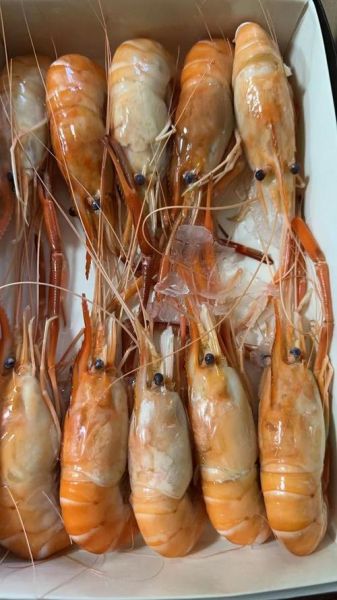 金钱虾怎么做好吃_金钱虾营养价值高吗-第3张图片-山城妙识 金钱虾怎么做好吃_金钱虾营养价值高吗-第3张图片-山城妙识