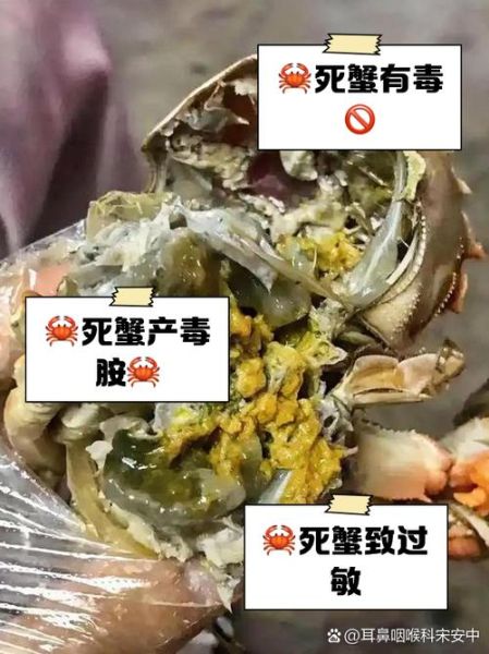 螃蟹刚死了能不能吃了_死了的螃蟹还能吃吗-第1张图片-山城妙识 螃蟹刚死了能不能吃了_死了的螃蟹还能吃吗-第1张图片-山城妙识
