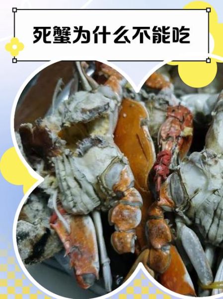 螃蟹刚死了能不能吃了_死了的螃蟹还能吃吗-第3张图片-山城妙识 螃蟹刚死了能不能吃了_死了的螃蟹还能吃吗-第3张图片-山城妙识