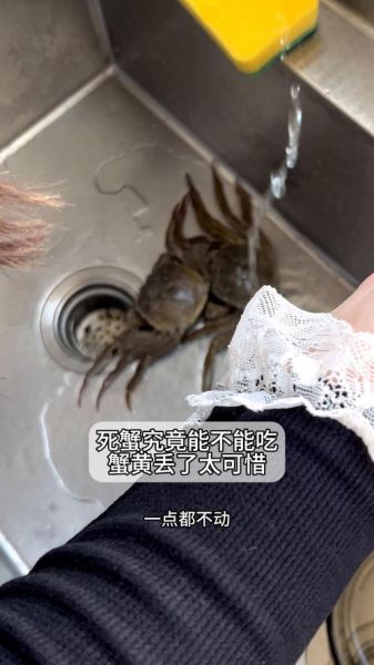 螃蟹刚死了能不能吃了_死了的螃蟹还能吃吗-第2张图片-山城妙识 螃蟹刚死了能不能吃了_死了的螃蟹还能吃吗-第2张图片-山城妙识