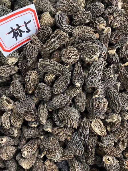 羊肚菌价格多少一斤_新鲜羊肚菌多少钱一斤-第3张图片-山城妙识 羊肚菌价格多少一斤_新鲜羊肚菌多少钱一斤-第3张图片-山城妙识