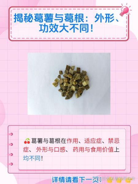 葛根与粉葛的区别_哪个更好-第2张图片-山城妙识 葛根与粉葛的区别_哪个更好-第2张图片-山城妙识