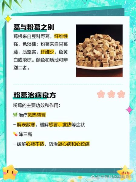 葛根与粉葛的区别_哪个更好-第3张图片-山城妙识 葛根与粉葛的区别_哪个更好-第3张图片-山城妙识