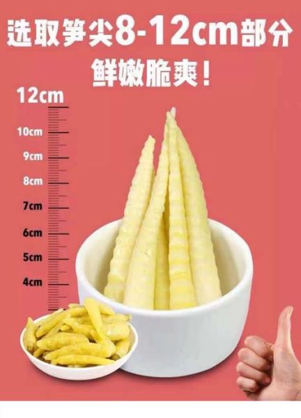 袋装笋尖怎么做好吃_袋装笋尖的家常做法-第2张图片-山城妙识 袋装笋尖怎么做好吃_袋装笋尖的家常做法-第2张图片-山城妙识