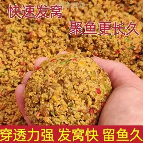 用什么打窝大鲫鱼最多_大鲫鱼窝料配方-第2张图片-山城妙识 用什么打窝大鲫鱼最多_大鲫鱼窝料配方-第2张图片-山城妙识