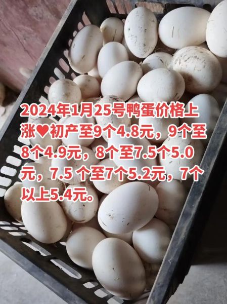 鸭蛋价格最新行情_今日鸭蛋多少钱一斤-第1张图片-山城妙识 鸭蛋价格最新行情_今日鸭蛋多少钱一斤-第1张图片-山城妙识