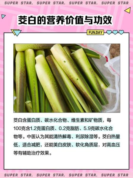 茭白的功效与作用_茭白的禁忌和副作用-第3张图片-山城妙识