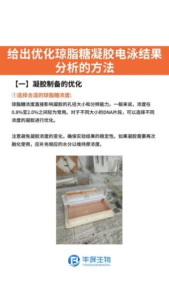 琼脂糖凝胶电泳步骤_琼脂糖凝胶电泳常见问题-第1张图片-山城妙识