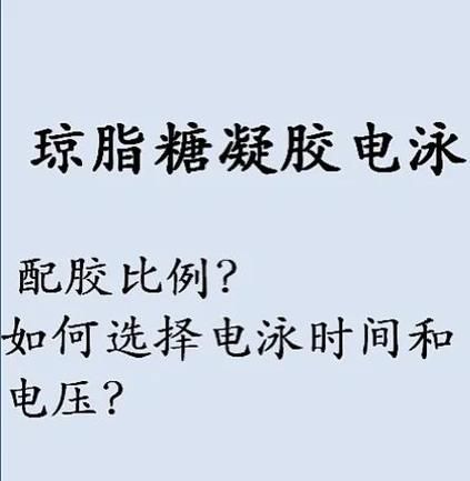 琼脂糖凝胶电泳步骤_琼脂糖凝胶电泳常见问题-第2张图片-山城妙识
