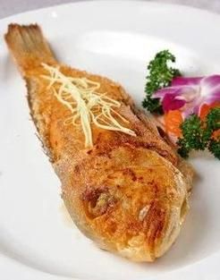 马头鱼是深海鱼吗_马头鱼生活水深多少米-第1张图片-山城妙识