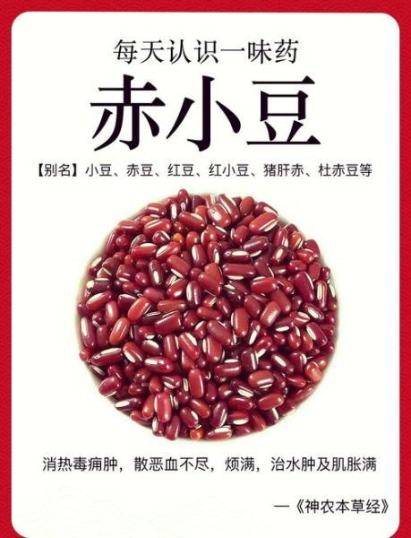 红小豆是红豆吗_红小豆和赤小豆区别-第1张图片-山城妙识 红小豆是红豆吗_红小豆和赤小豆区别-第1张图片-山城妙识