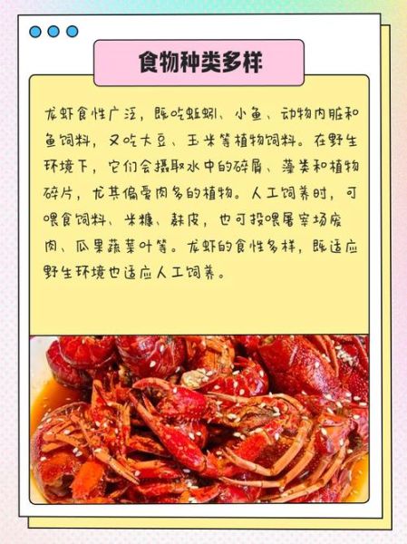 家养龙虾吃什么食物_龙虾饲料怎么选-第1张图片-山城妙识