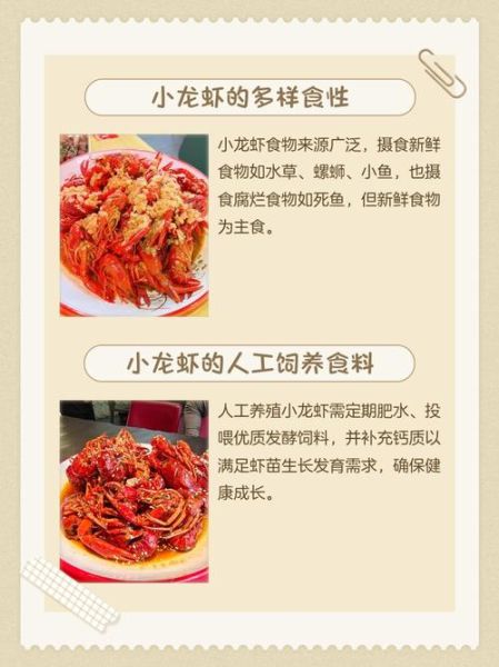 家养龙虾吃什么食物_龙虾饲料怎么选-第2张图片-山城妙识