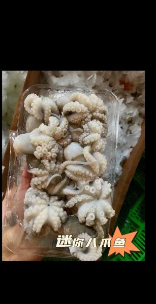 八爪鱼焯水多久才嫩_八爪鱼焯水后怎么炒好吃-第1张图片-山城妙识