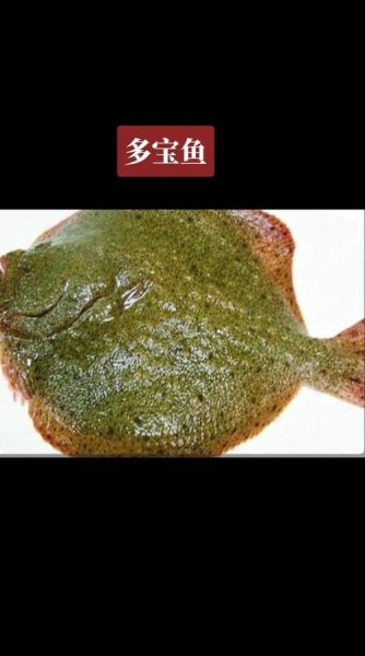 多宝鱼为什么不能吃_多宝鱼含有什么毒素-第3张图片-山城妙识 多宝鱼为什么不能吃_多宝鱼含有什么毒素-第3张图片-山城妙识