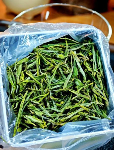 黄山毛尖是什么茶_黄山毛尖属于绿茶吗-第1张图片-山城妙识