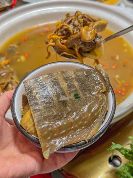 甲鱼汤的功效与禁忌_高血压能吃甲鱼汤吗-第1张图片-山城妙识 甲鱼汤的功效与禁忌_高血压能吃甲鱼汤吗-第1张图片-山城妙识