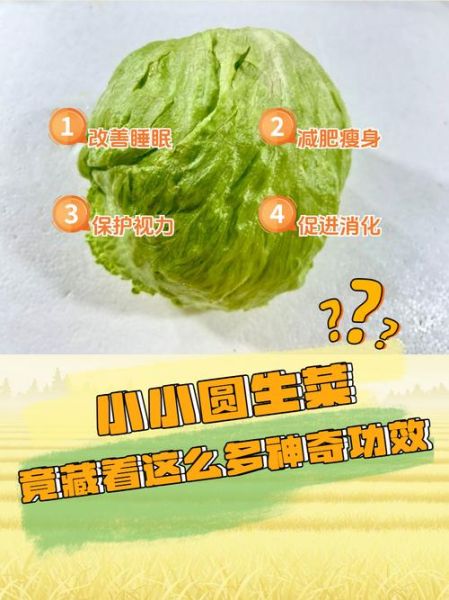 圆白菜可以生吃吗_生吃圆白菜安全吗-第3张图片-山城妙识 圆白菜可以生吃吗_生吃圆白菜安全吗-第3张图片-山城妙识