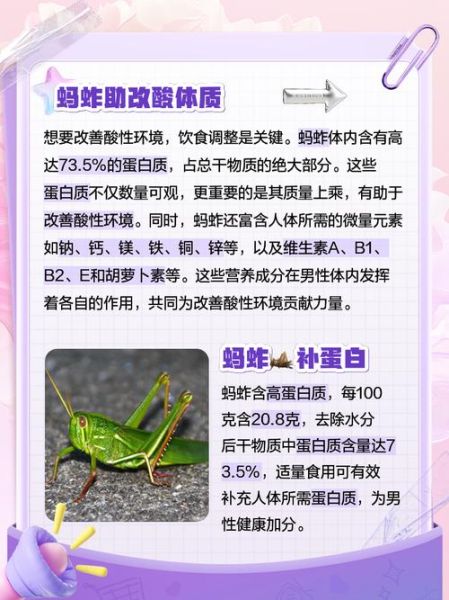 蚂蚱的营养价值_蚂蚱怎么吃最健康-第1张图片-山城妙识
