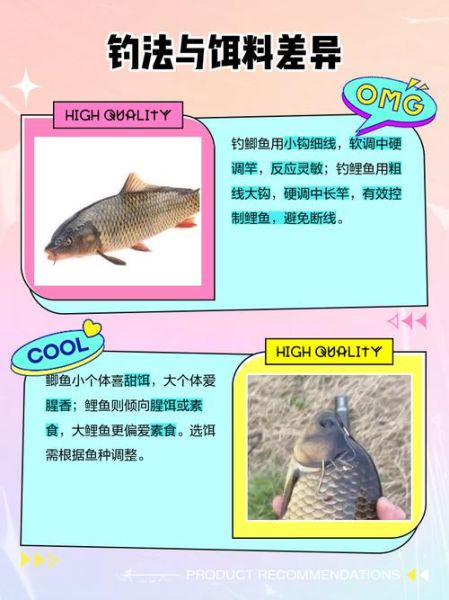 鲫鱼和鲤鱼的区别图片_如何一眼分辨-第2张图片-山城妙识