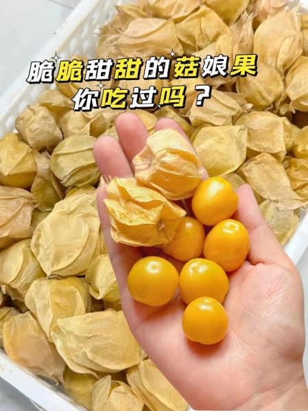 灯笼果怎么吃_灯笼果的吃法大全-第2张图片-山城妙识