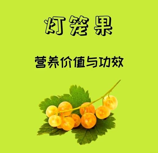 灯笼果怎么吃_灯笼果的吃法大全-第1张图片-山城妙识