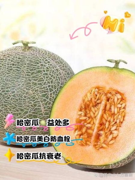 吃哈密瓜会上火吗_哈密瓜的功效与作用-第1张图片-山城妙识