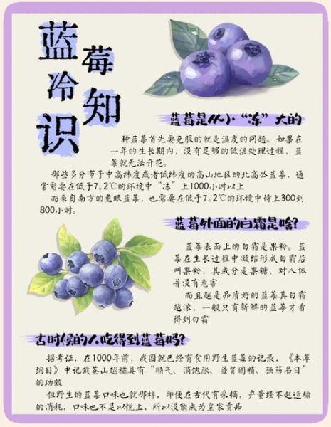 蓝莓的正确食用方法_蓝莓一天吃多少颗合适-第2张图片-山城妙识