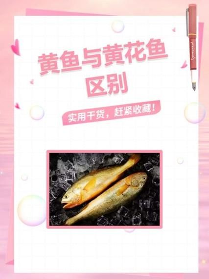 黄鱼和黄花鱼哪个更贵_价格差异原因-第1张图片-山城妙识