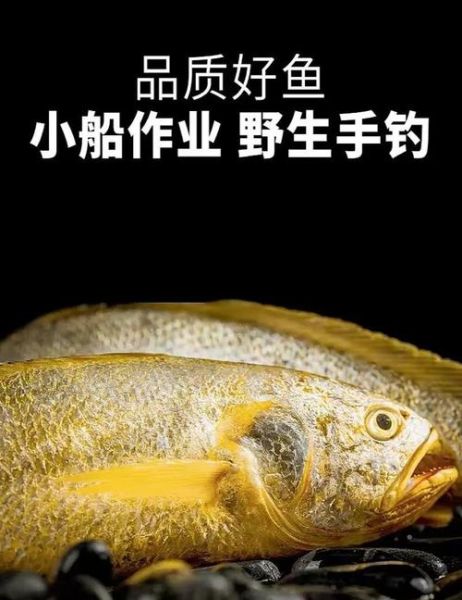 黄鱼和黄花鱼哪个更贵_价格差异原因-第3张图片-山城妙识